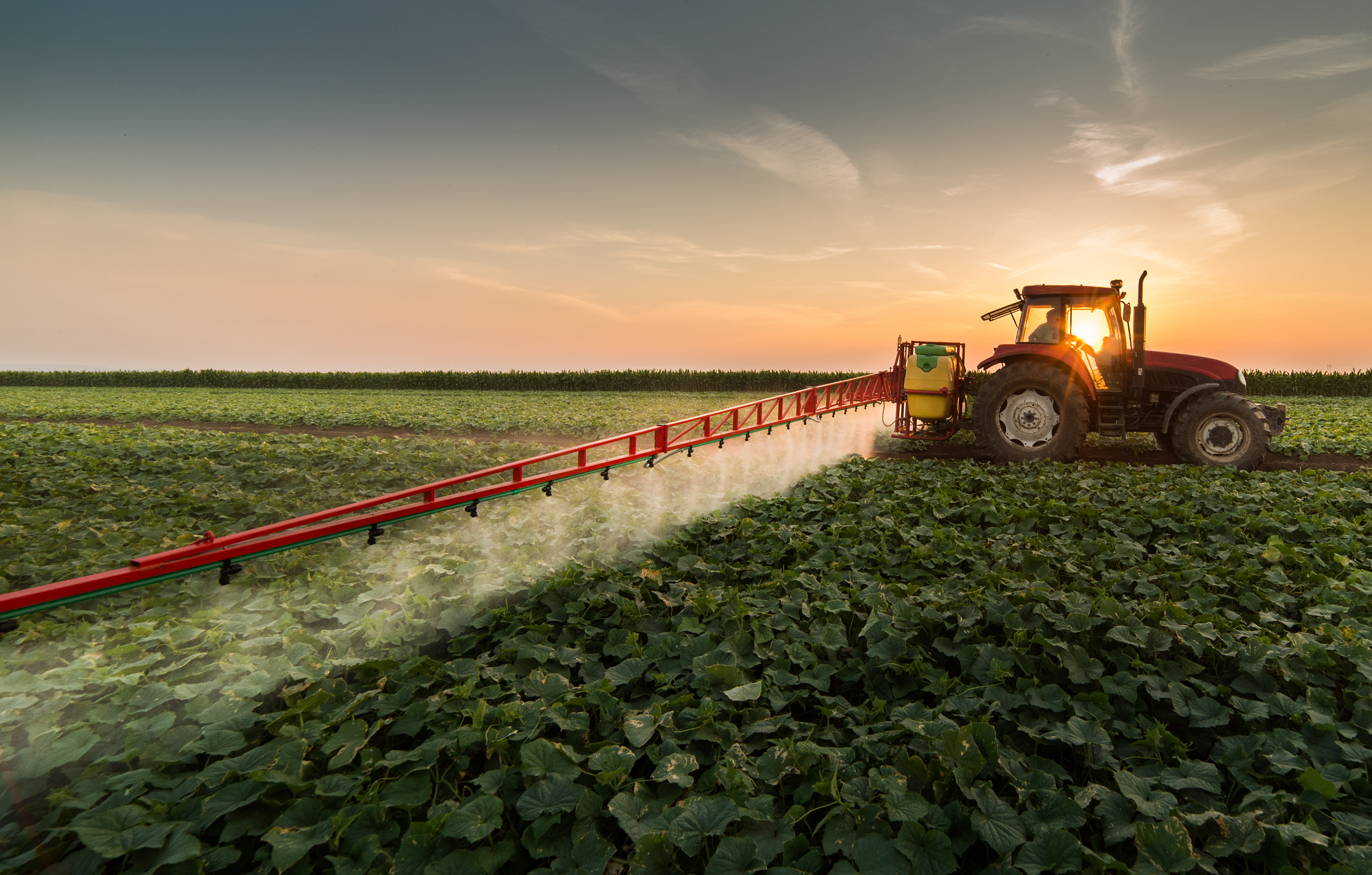 Safety data sheet error trap: How to ensure legal certainty - Infraserv